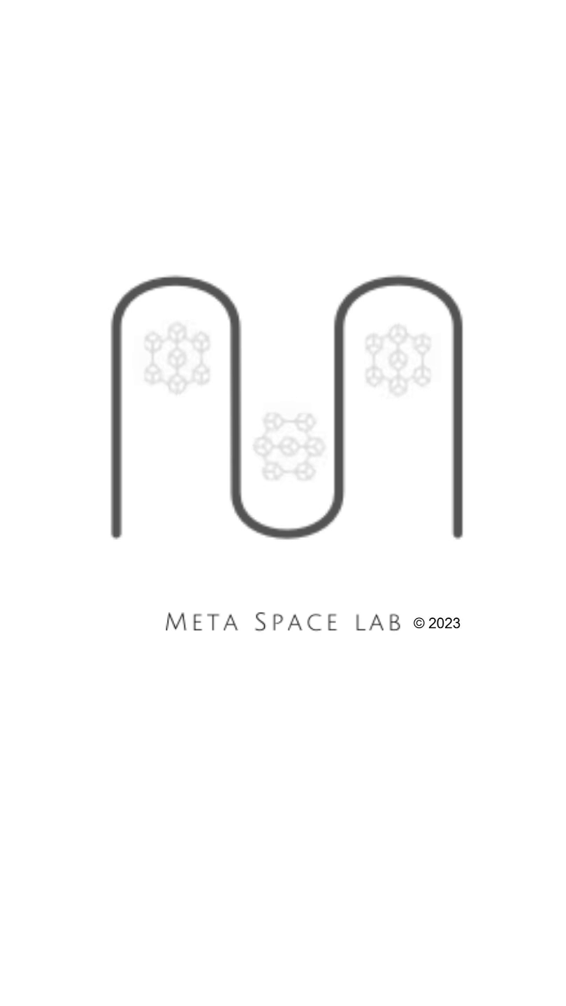 Meta Space Lab – Medium