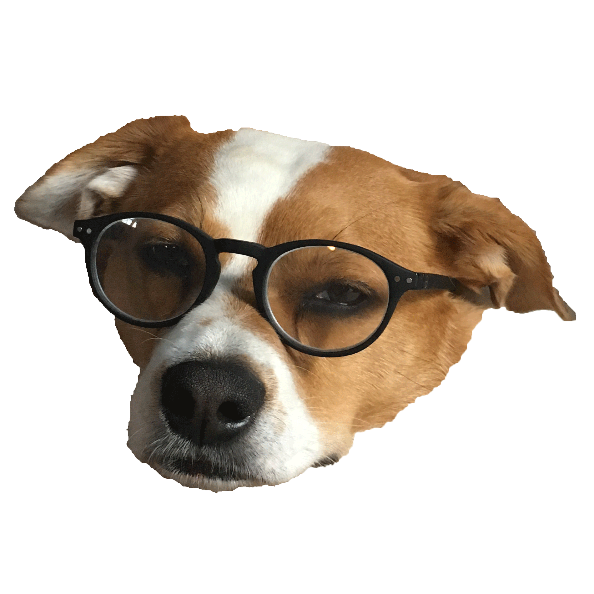 Matteo Bruni – Medium