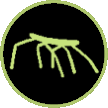 stickbug – Medium