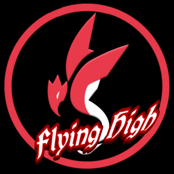 FLYING HIGH – Medium