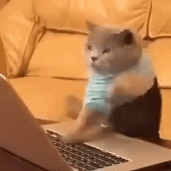 Baby’s first programming language | by Rachel Rath | Medium