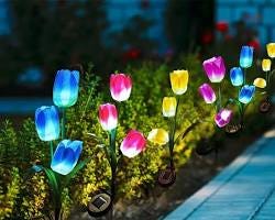 Greenify Your Home: 4 Eco-Friendly Products on AliExpress to Help You ...