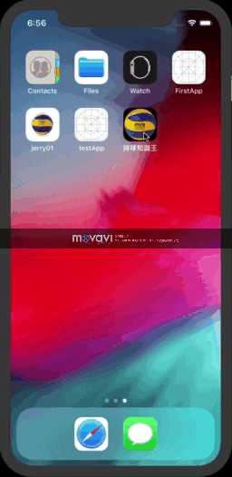 選擇題APP. 因為非常熱愛排球，所以做了關於排球知識的選擇題APP | by 柯翊偉 | 海大 SwiftUI iOS / Flutter App 程式設計 | Medium