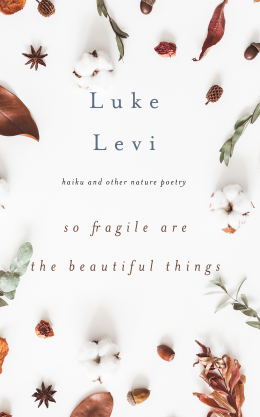 Luke Levi – Medium