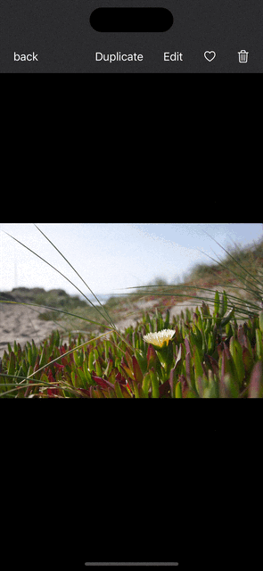 SwiftUI: Photos App Copy Cat and Deep Dive into PhotoKit (Part 3: Modify Assets) | by Itsuki ...