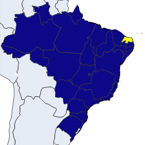 Choropleth Map dos estados Brasileiros usando Plotly Express | by ...