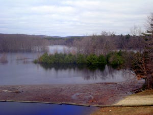 Coming to Surface. I’ve been feeling flooded lately… | by Amber Robidoux - Doux Wild | Medium