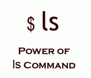 What happens when you type `ls *.c`? | by Hasanali | Jun, 2025 | Medium