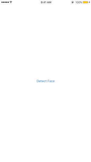 FacepickerController : Detect face from image | by Bhavesh Tandel | Medium
