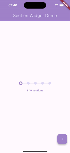 Custom Section Widget. Hello everyone. Today, I’ll show you a… | by ...
