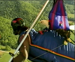 I came up with the stupidest startup possible and got traction | by ...