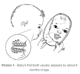 Dental: Teeth and Gum Care for Infants and Toddlers | by White Colette ...