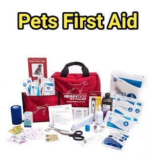 10 Most Best Tips About The Pets First Aid - Zainich - Medium