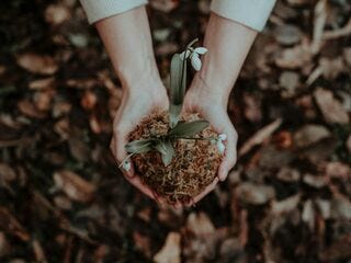 Sharon Salzberg and the Power of Compassion | by Mark Bertin, MD | Medium