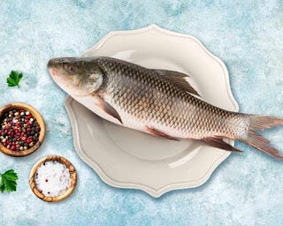 Why Should You Consider Online Fish Delivery in Bhubaneswar? | by ...