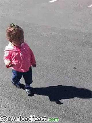 Top 17 funny gifs for social media sharing | by Funny Gifs & Funny ...