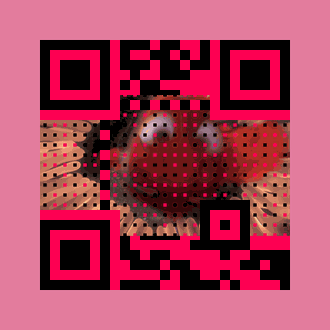 Easily Create Your Own QR codes in pure Python (WiFi, Location, Email ...
