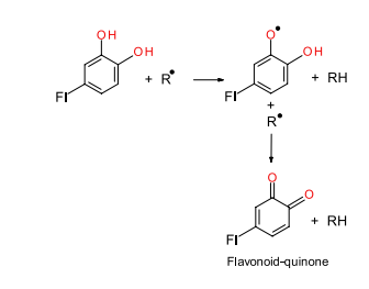 Know Your Diet — Polyphenols in your diet can help eliminate ROS ...