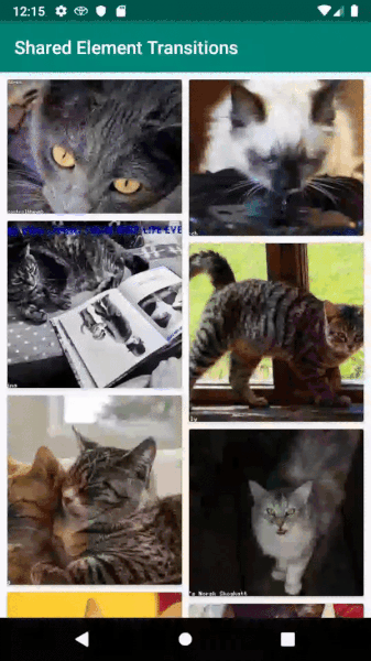 Android Shared Element Transitions 🌇 🌆 | by Ömer Akkoyun | Medium