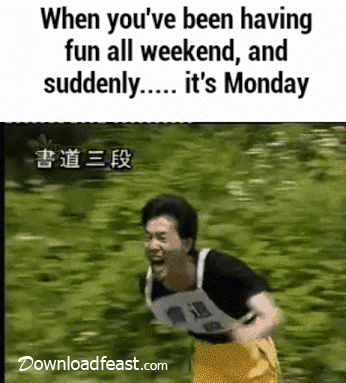 25 most funniest gifs shared on social media | by Funny Gifs & Funny ...