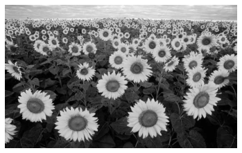 An Introduction to Thresholding Operations in OpenCV | by Manik Hossain ...