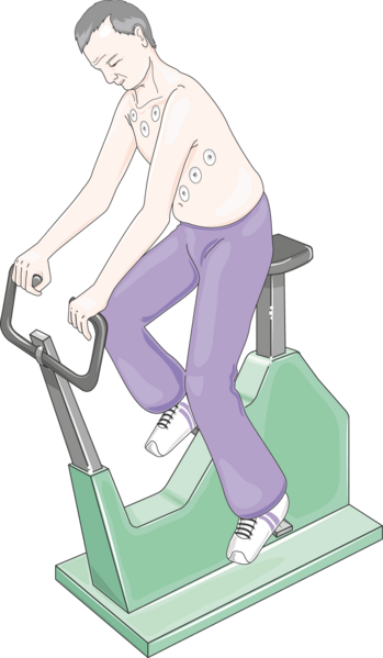 A Stationary Bike Ride That Should Help Get Me To Where I Want To Be ...