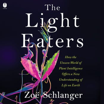 A dazzling portrayal of the lives of plants: a review of Zoë Schlanger ...