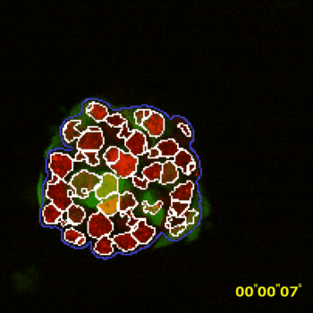 Navigating the Frontier of Optimization: The Virus Colony Search ...