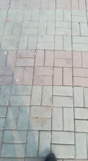 A day for Amal. Today seemed like a very normal day to… | by Ahmed ...