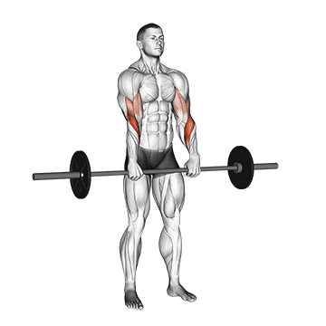 BEST 10 KILLER BICEPS TRAINING FOR MASSIVE ARMS | by Gandharvb | Medium
