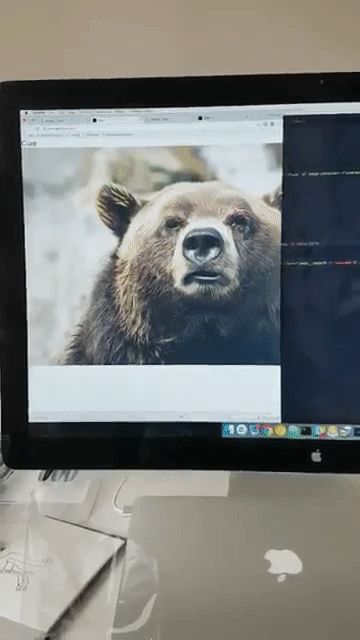 Art Directed Responsive Images with Craft | by Michael Westwood | Medium