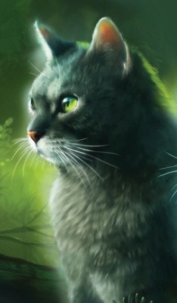 Warriors A Vision of Shadows: The Raging Storm Review (Media Musings ...