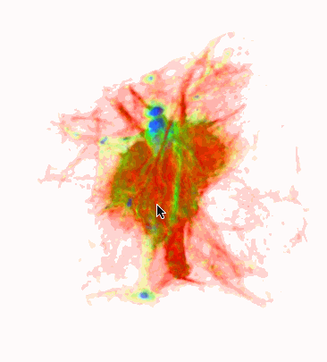 Multivolume rendering in Jupyter with ipyvolume: cross-language 3d ...