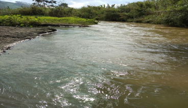 DIVERSITY AND DISTRIBUTION OF ODONATA IN THE VICINITY OF SALUG RIVER | by edver alejo | Medium