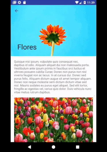 Android Design — Collapsing Toolbar: ScrollFlags Illustrated | by ...