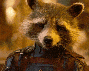 Raccoon, Reborn. A spontaneous Rocket Raccoon fanfic… | by Vinson ...