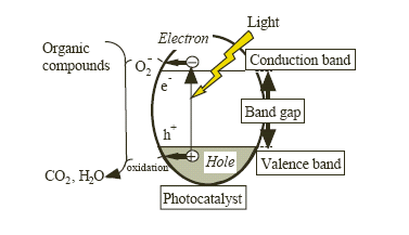 Mechanism of Photocatalysis. At the point when photocatalyst… | by Hygia India | Medium