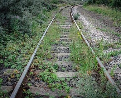 Write with Me: One Poem at a Time (Week 8: Insignificance) | by Chris ...