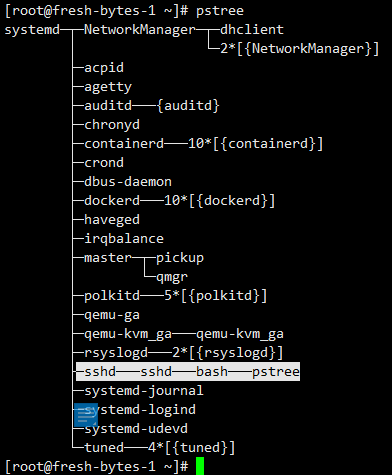 The Linux Process Journey — sshd (OpenSSH SSH Daemon) | by Shlomi ...