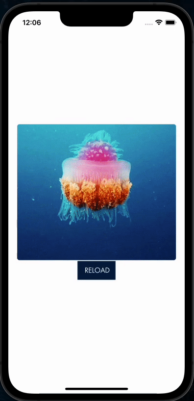 How to Add Skeleton Loading to an Image React Native Reanimated | by Steve Blue | Stackademic