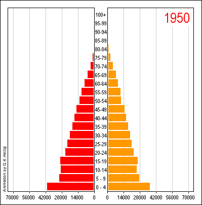 Population Pyramids and their implications. | by Megha Sharma | Medium