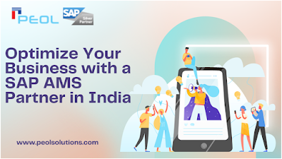 How to Optimize Your Business with a SAP AMS Partner in India | by ...