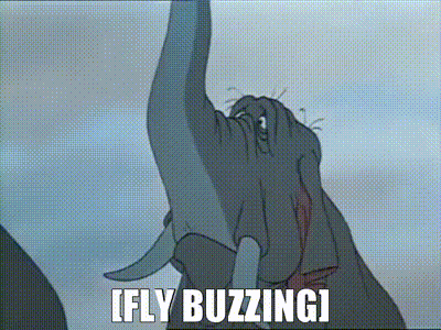 Swatting Flies. You don’t get rid of the problem by… | by James Rigdon ...