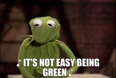 Let’s celebrate Christmas with Kermit | by Amy Zhou | Medium