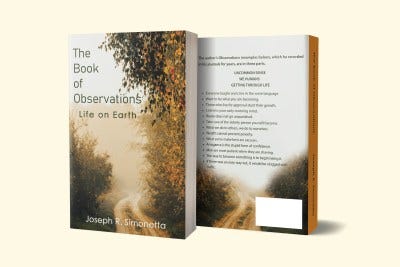 50 OBSERVATIONS (3). By Joseph R. Simonetta… | by Joe Simonetta | Medium