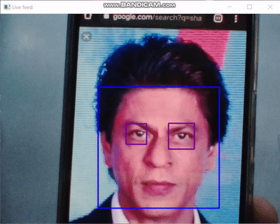 Face and Eye Detection using Haarcascades — with source code — the ...