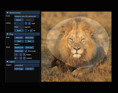 DragGAN: Revolutionizing Image Manipulation with Interactive Point-based Control | by Evergreen ...