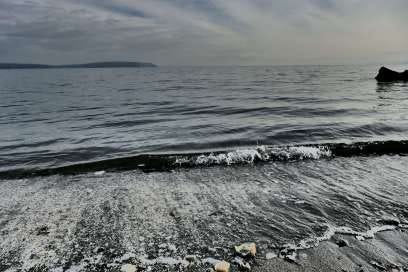 Visit Double Bluff Beach, Whidbey Island, WA | by Chelsey Schultz | Medium