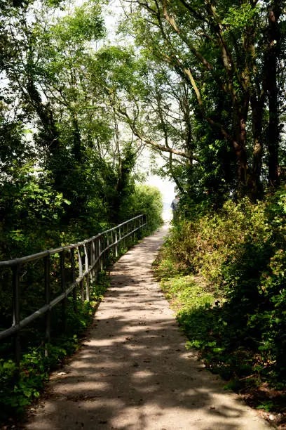 Exploring Kent Ridge Park: A Scenic Escape in Singapore, Powered by ...