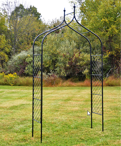 Unlocking Garden Magic: The Benefits of Trellises | by Michelle Dee ...